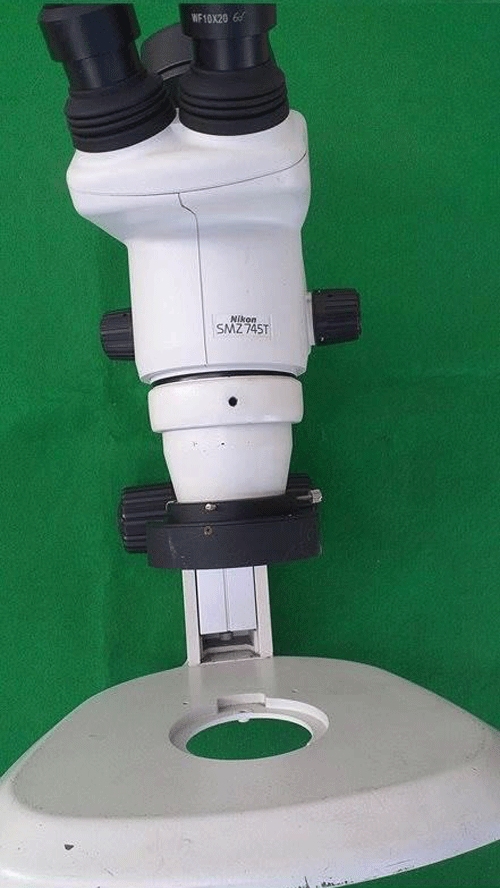 NIKON SMZ-745T Digital Stereo Microscope | rescience NIKON SMZ-745T Digital Stereo Microscope | rescience