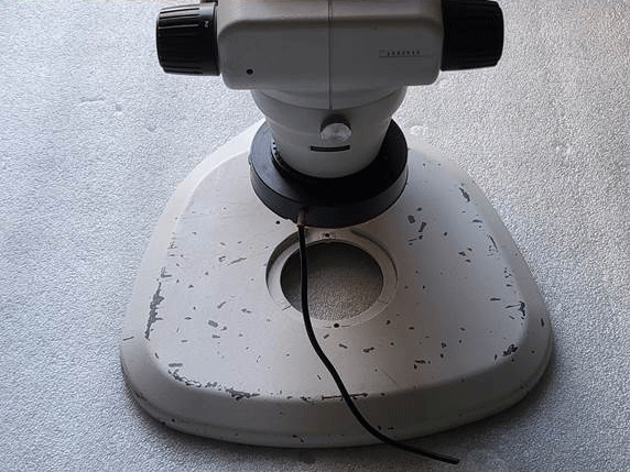 Nikon SMZ-745 Stereo Microscope | rescience