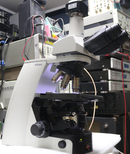 Nikon Ci-L Clinical Microscope | rescience