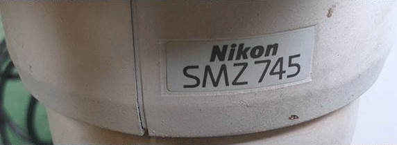 Nikon SMZ-745 Stereo Microscope | rescience Nikon SMZ-745 Stereo Microscope | rescience