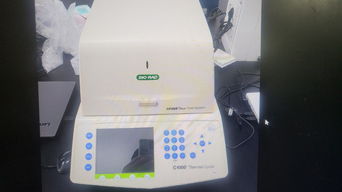 BIO-RAD C1000 Thermal cycler CFX96DxORM | rescience