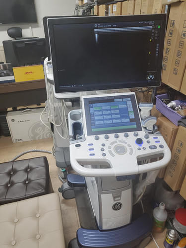 GE LOGIQ P9 Ultrasound system | rescience