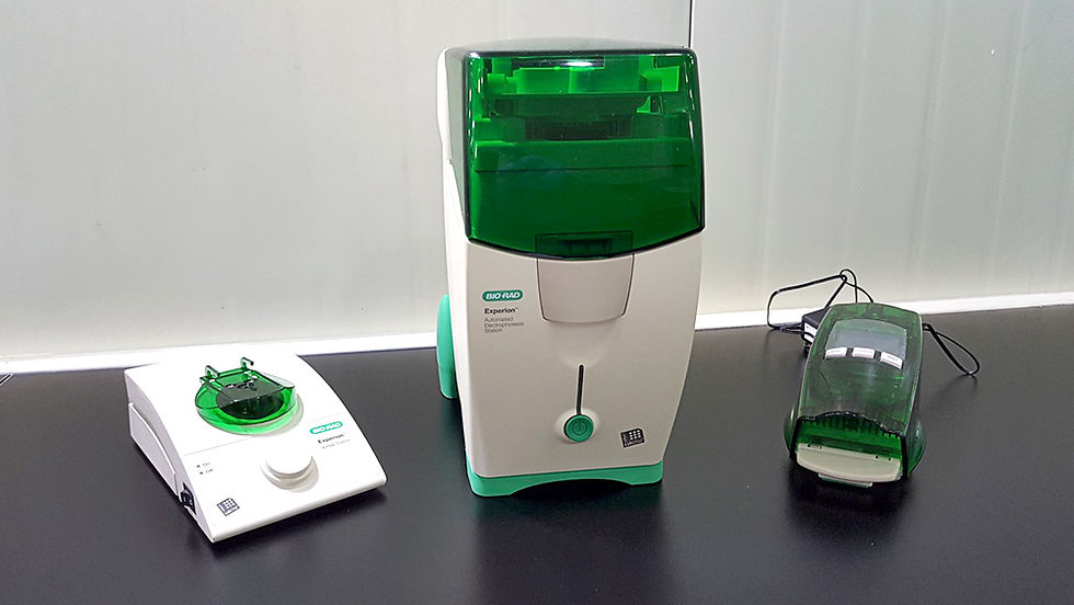 Bio-Rad Experion Automated Electrophoresis System | rescience
