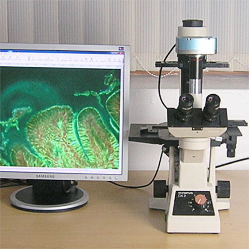 Olympus CK2 Microscope | rescience