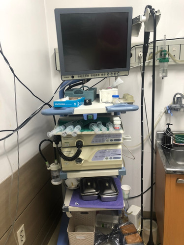 Olympus 260 Endoscopy System | rescience