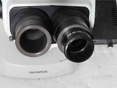 Olympus SZ61 Stereo Microscope | rescience