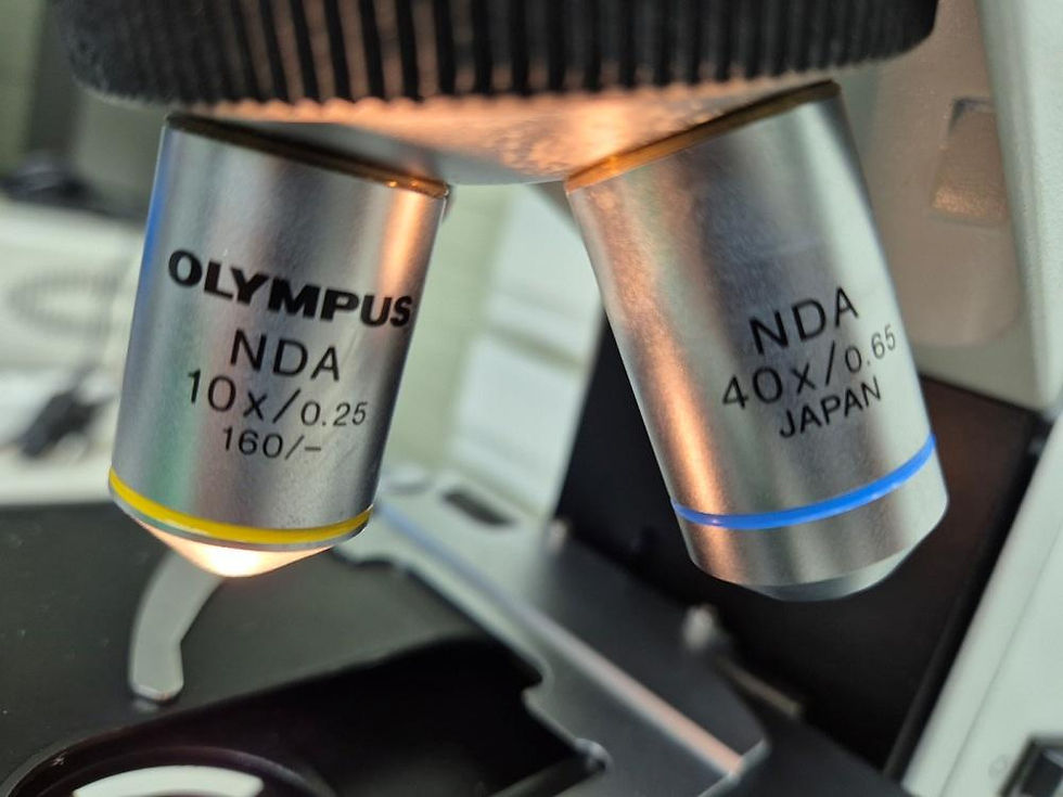 OLYMPUS CH30 Microscope | rescience