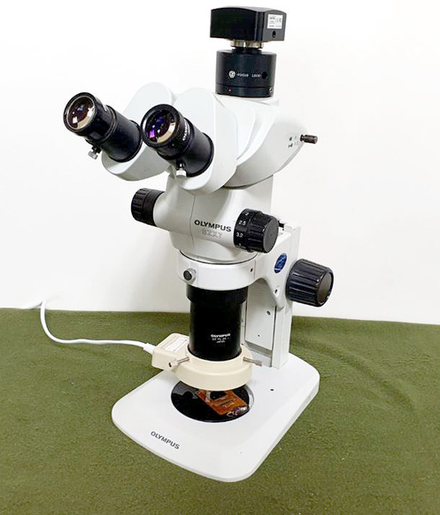 Olympus SZX7 Microscope