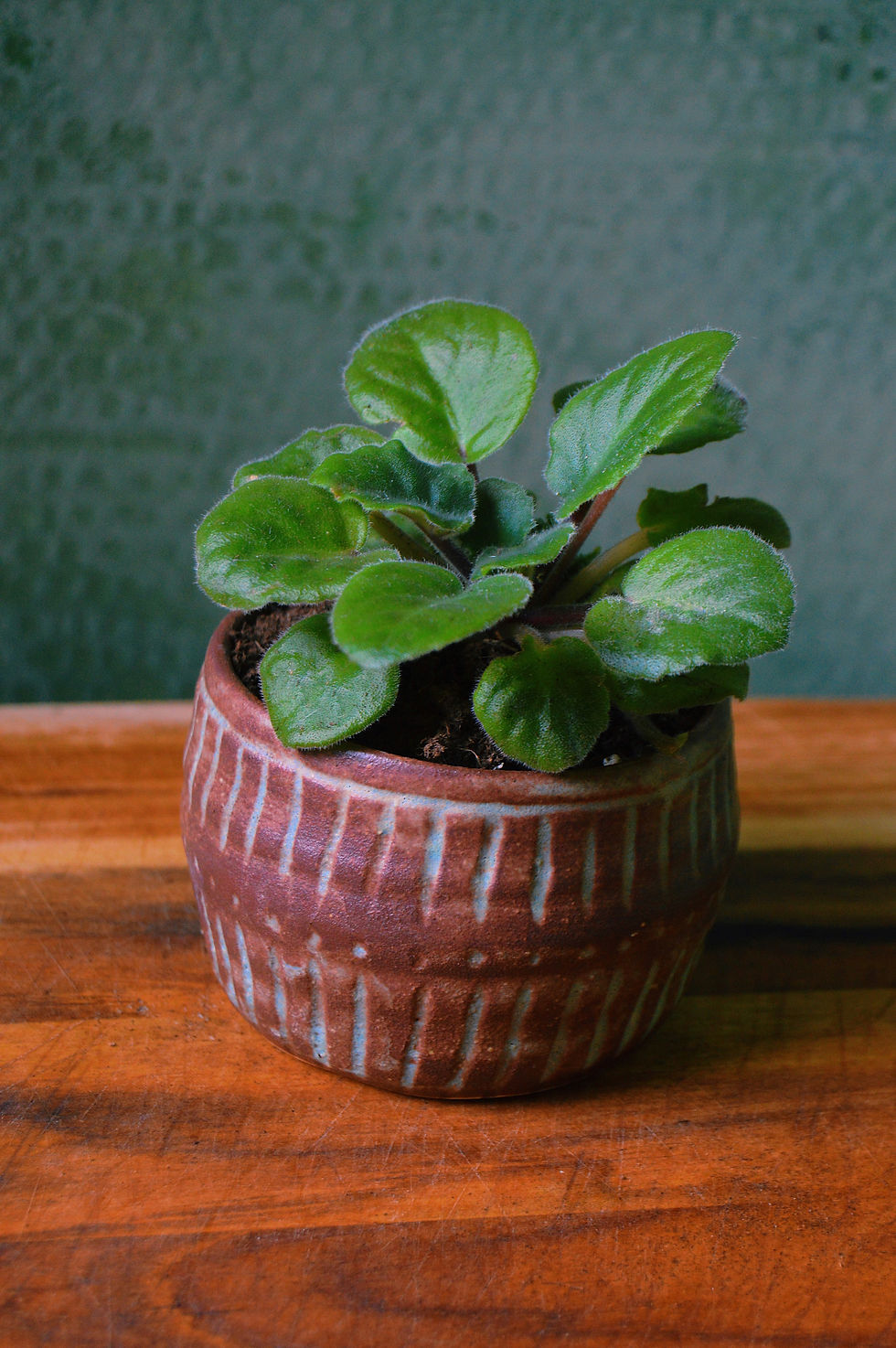 Eden's Muse | Earth-Based Art & Design | United States