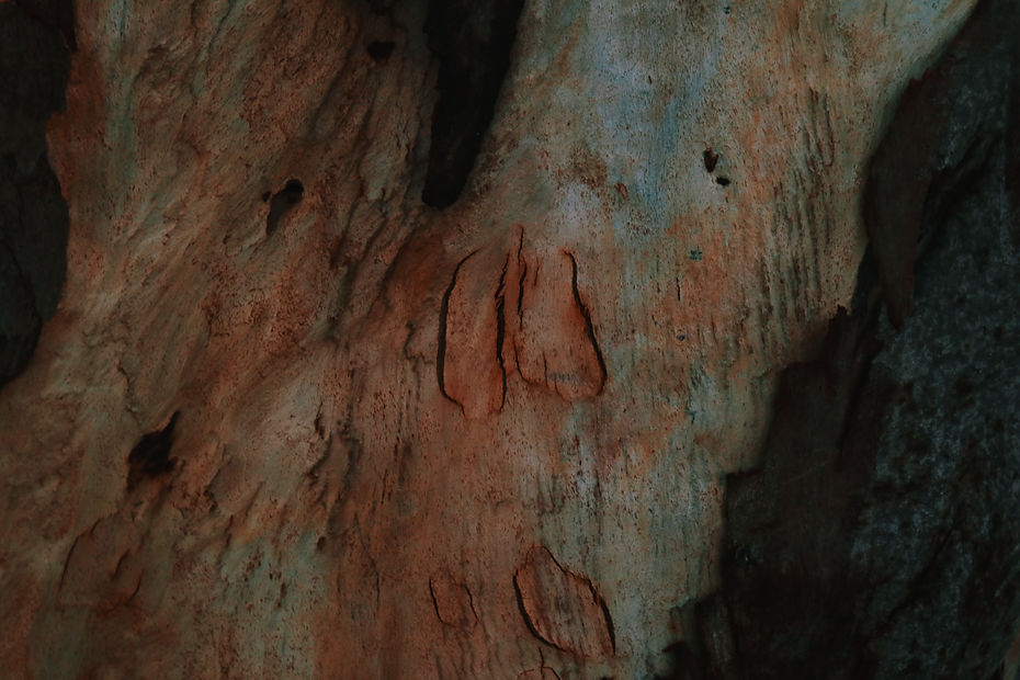 Eden's Muse | Earth-Based Art & Design | United States