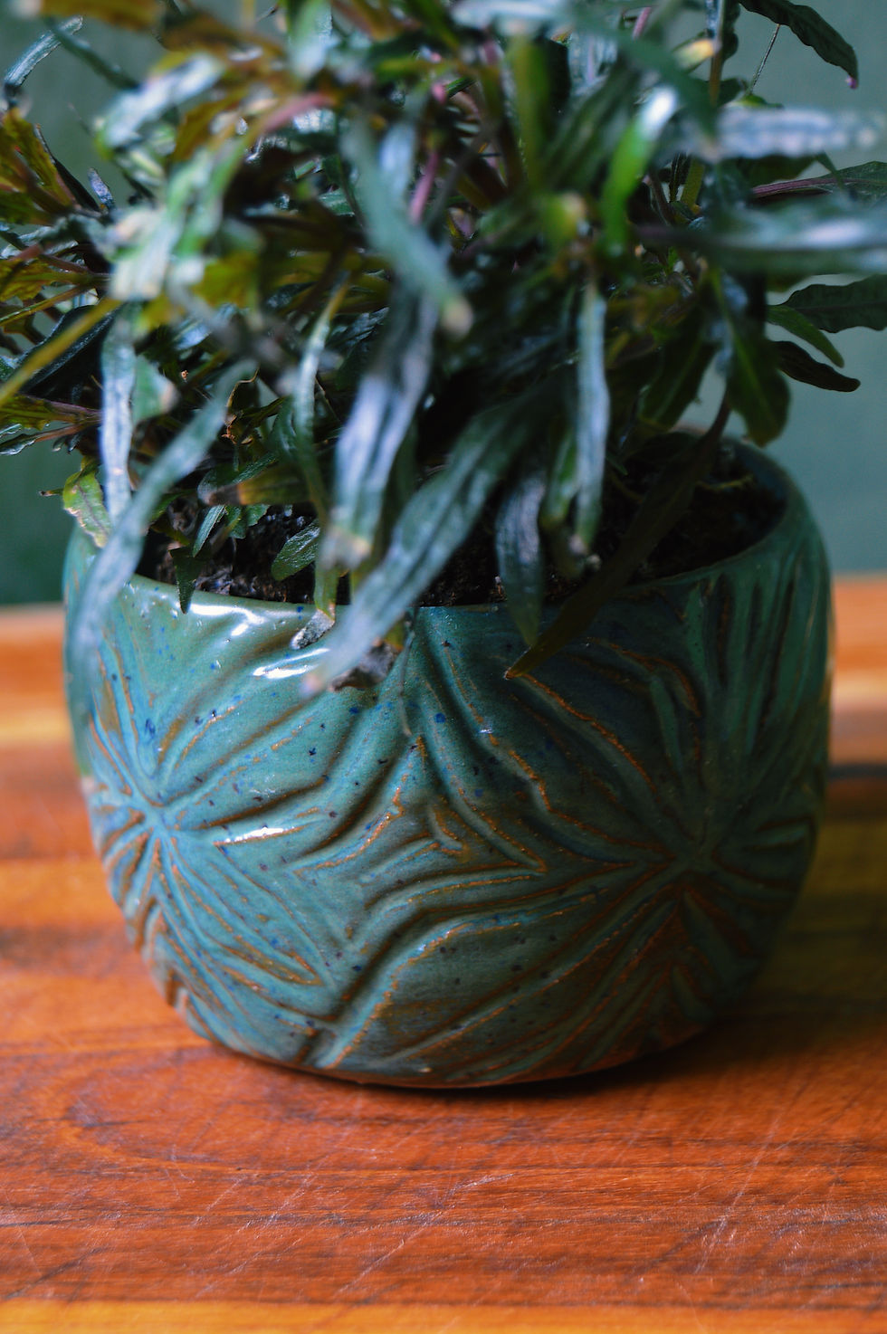 Eden's Muse | Earth-Based Art & Design | United States