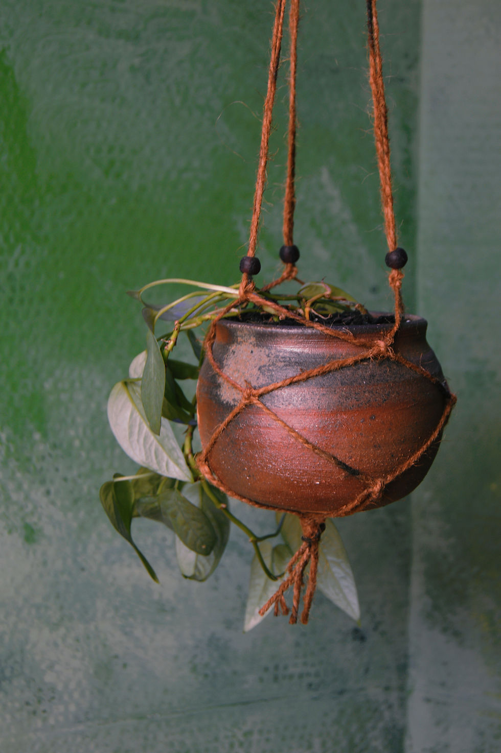 Eden's Muse | Earth-Based Art & Design | United States