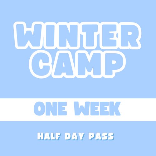 5-Day Pass to WINTER CAMP | Studypage Learning