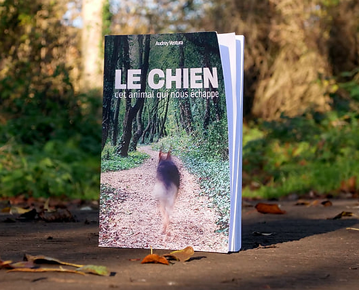 Lectures, liens et partenaires | Marina Collet Educ