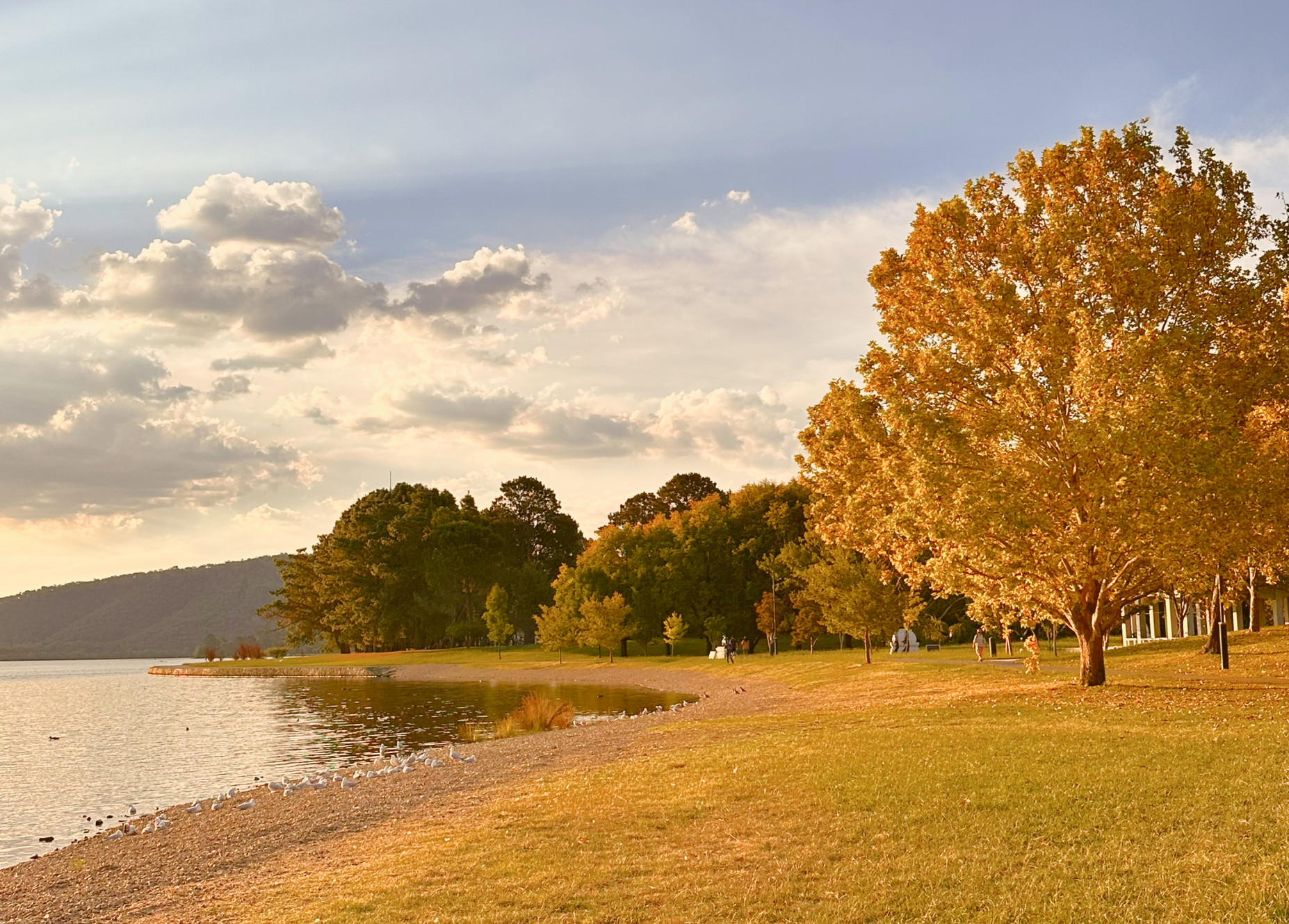 Home | Elite Property Law