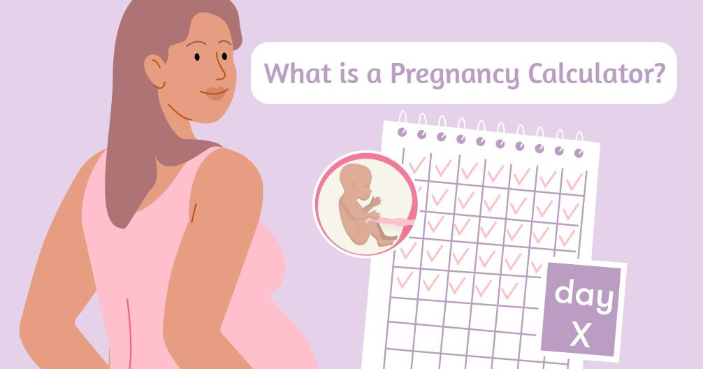 What is a Pregnancy Calculator?