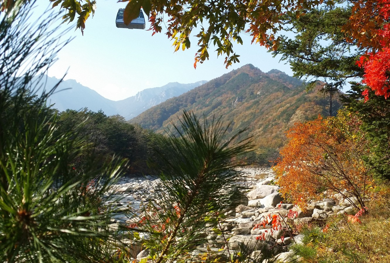 TOP 36 Autumn Foliage Places to Visit in/out Seoul, Korea (2025 ...