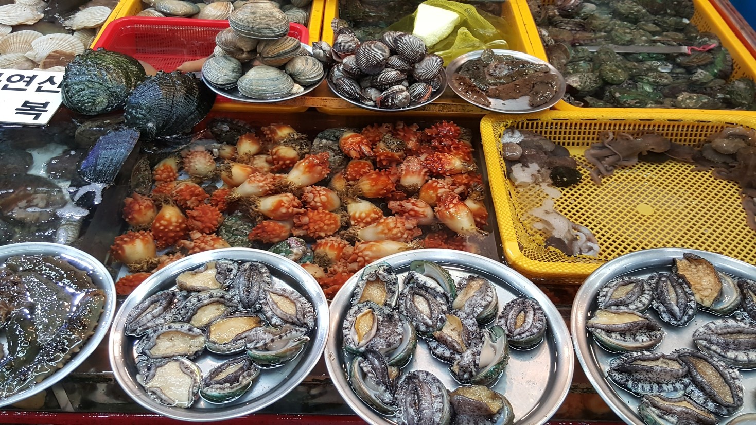 Jagalchi Fish Market & getting there - KoreaToDo