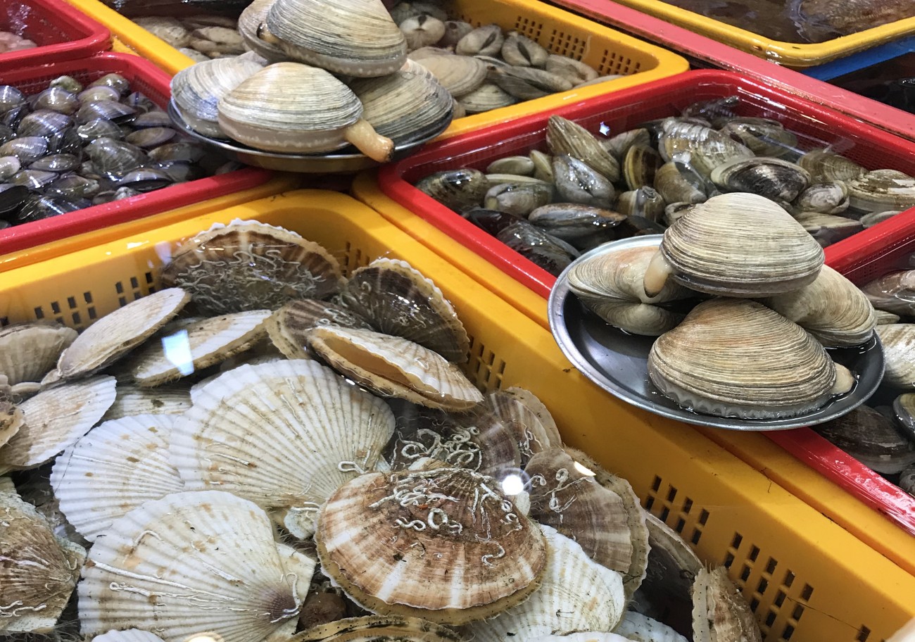 Jagalchi Fish Market & getting there - KoreaToDo