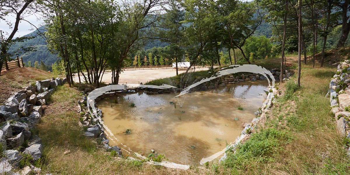 Alpaca World Korea - Animal Farm in Nature & Getting There | KoreaToDo