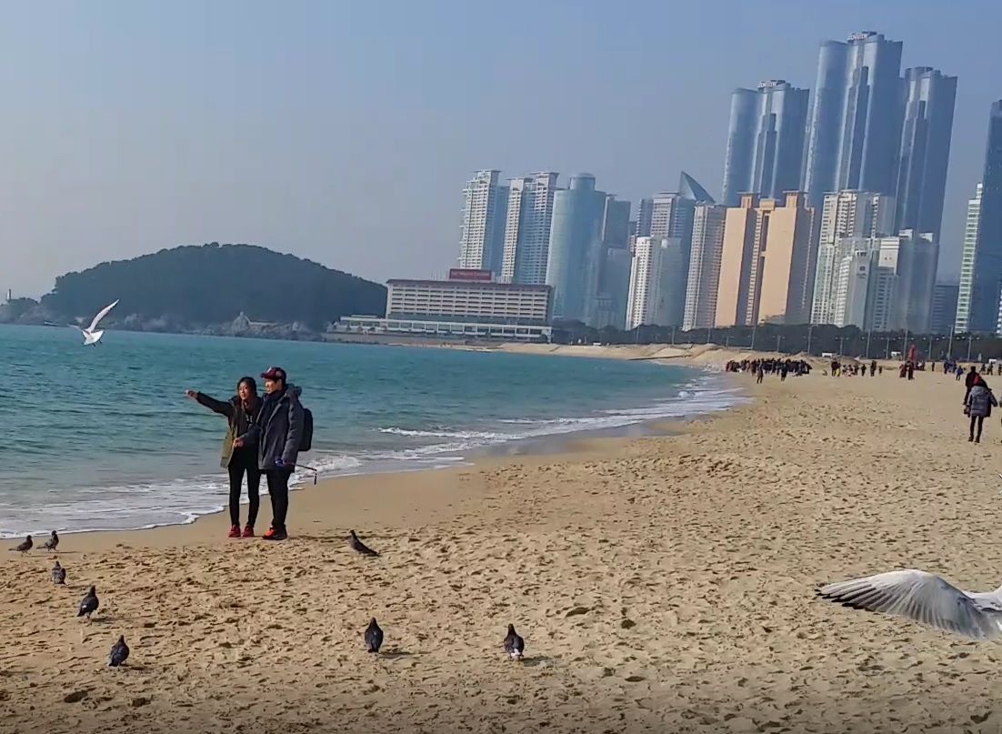 Haeundae Beach, Things to Do & How to Go Guide | KoreaToDo