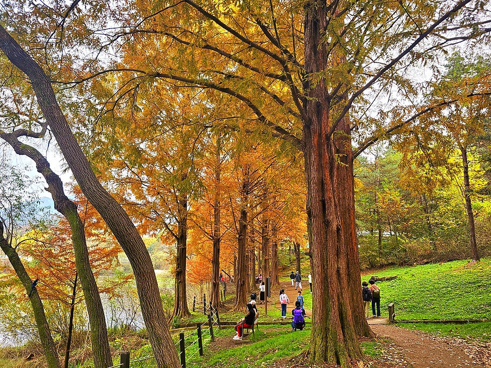 Seoul: Han River Guide & Top things to do South of Hangang | KoreaToDo