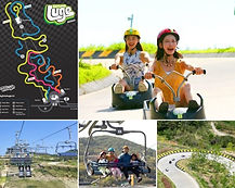 Skyline Luge Busan & Getting There | KoreaToDo