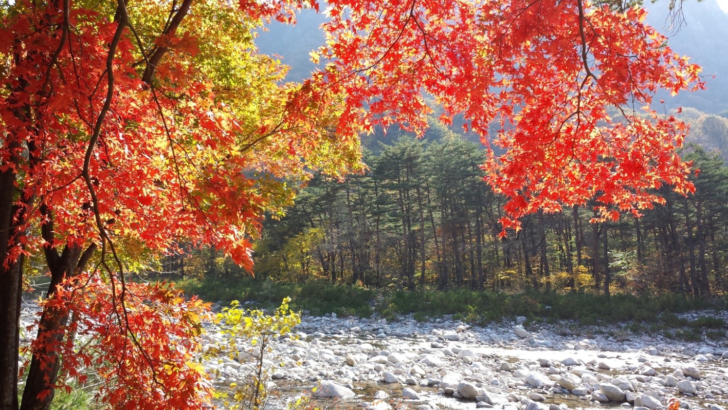 Seoraksan National Park, Sokcho Attractions & Getting There |KoreaToDo