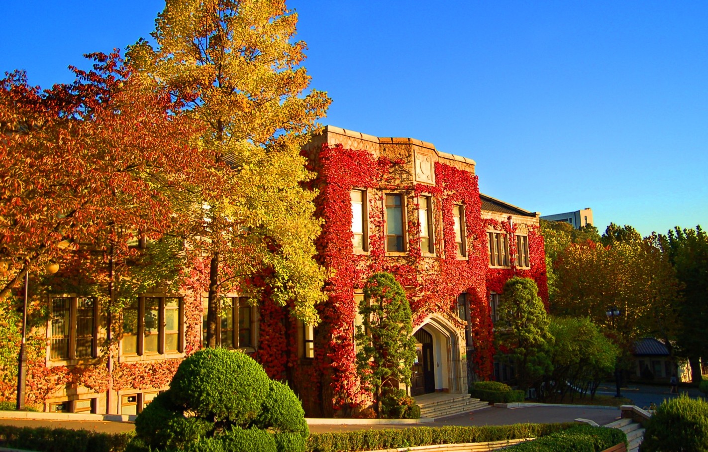 Yonsei University & getting there - KoreaToDo Yonsei University & getting there - KoreaToDo