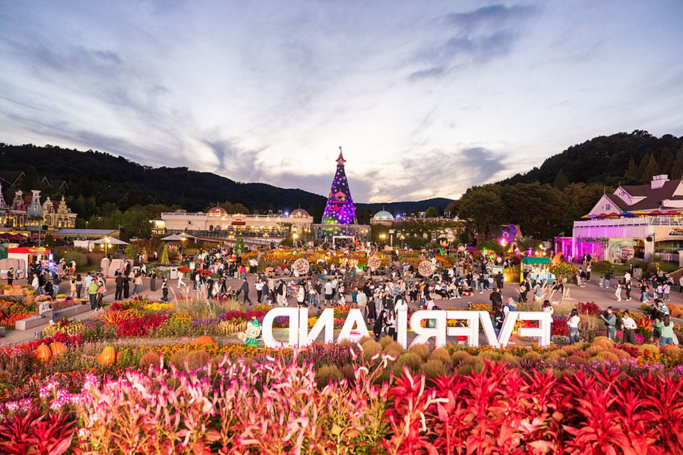 Guide to Everland Theme Park (Korea) & Getting There | KoreaToDo