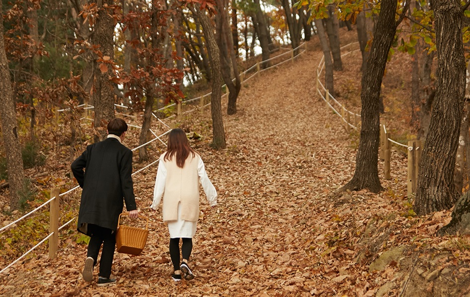 Alpaca World Korea - Animal Farm in Nature & Getting There | KoreaToDo