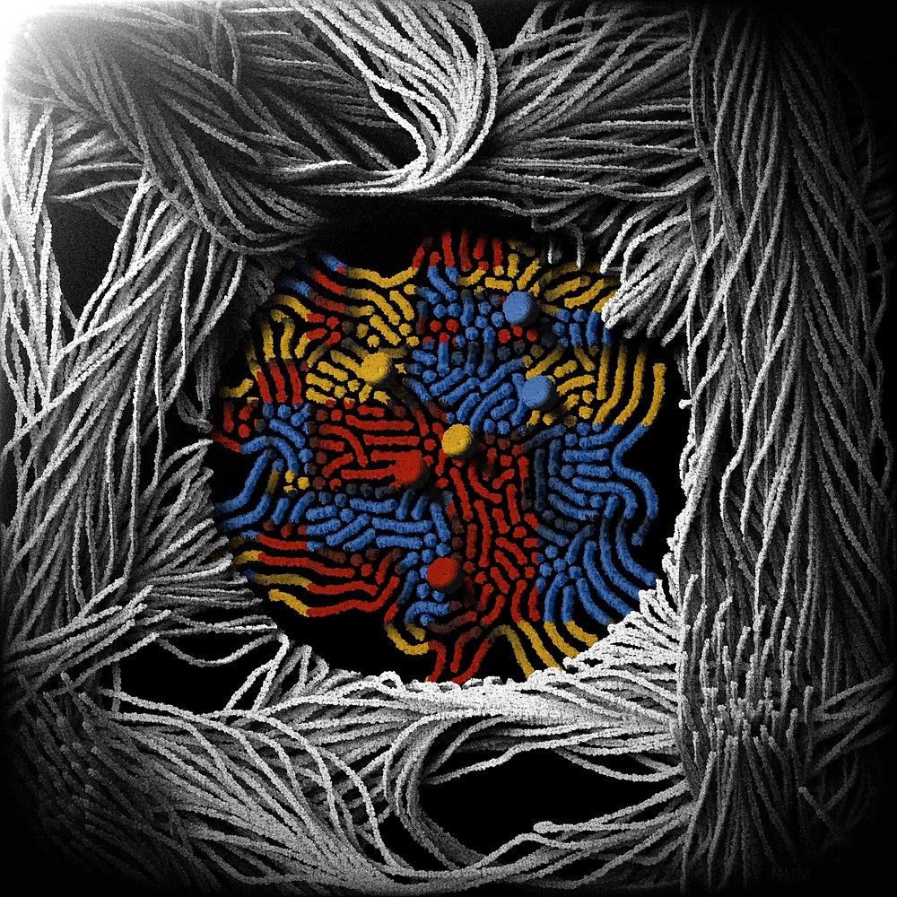 Processing Boidsについて学ぶ