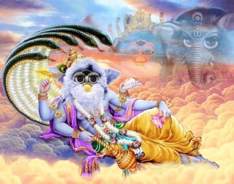 Long Furby | The #1 Gallery of Long Furbies