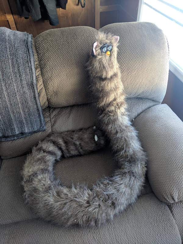 Long Furby | The #1 Gallery of Long Furbies