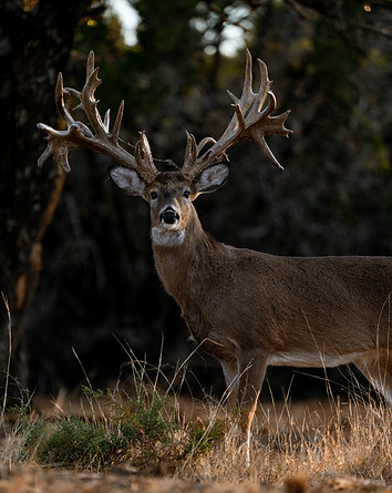 Hunting Ranch | Crown Point Ranch