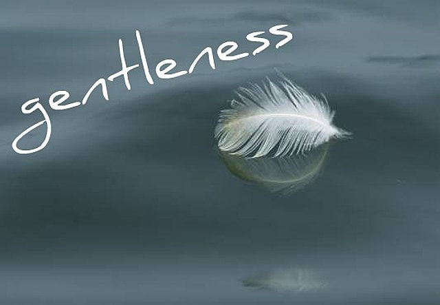 The Power Of Gentleness