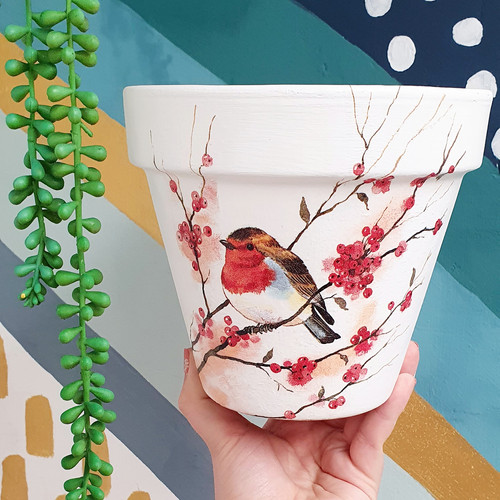 Red Robin plant pot | Simply Vibrant
