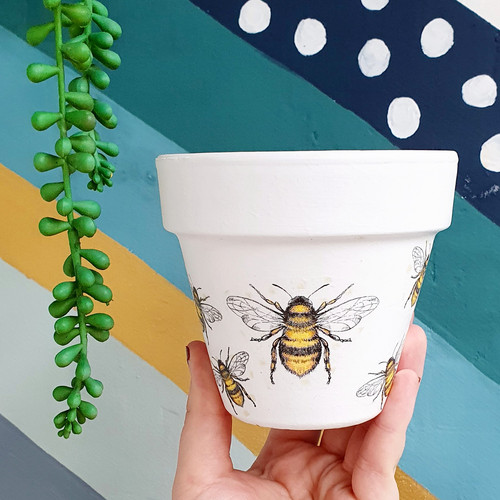 Bee plant pot | Simply Vibrant Decoupaged bee terracotta plant pot