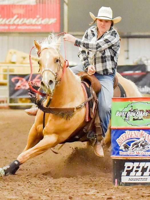 Horses | Four Lazy F Ranch