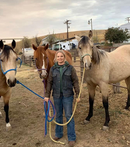 Horses | Four Lazy F Ranch