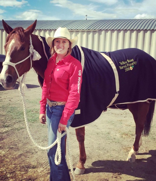 Horses | Four Lazy F Ranch