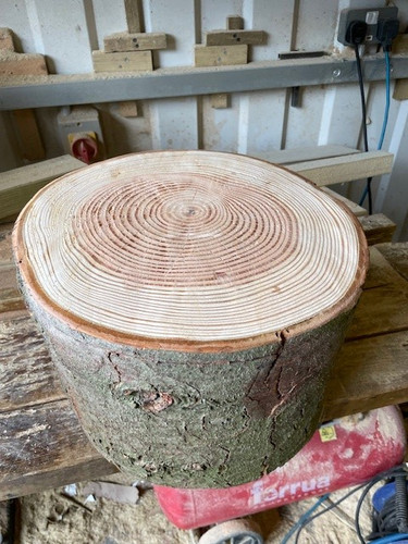 Large 14" log stump, garden rustic seating - fire pit seat | WOODYARD ...