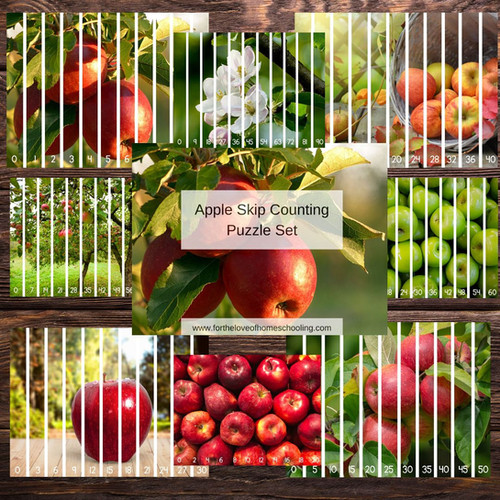 Apple Skip Counting Puzzle | FTL of Homeschooling
