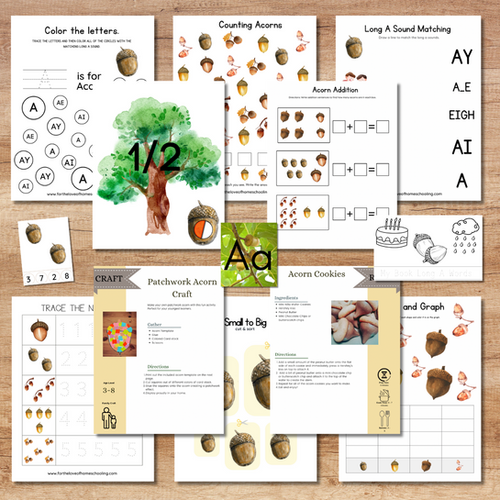 A is for Acorn - A Long A Learning Pack | FTL of Homeschooling