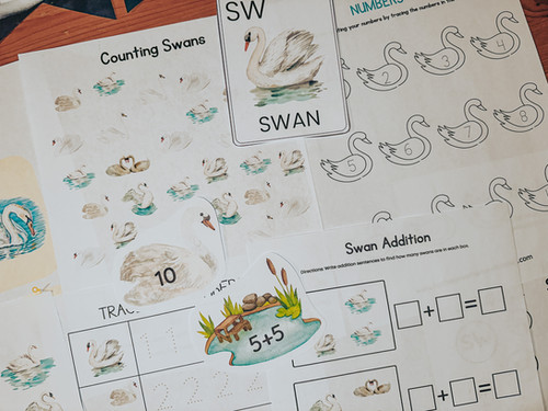SW is for Swan Learning Pack | FTL of Homeschooling