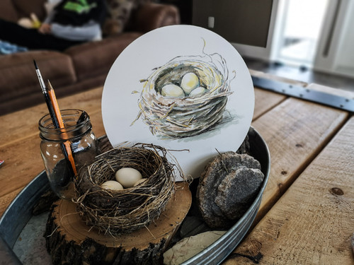Bird Nest Watercolor Art Tutorial | FTL of Homeschooling