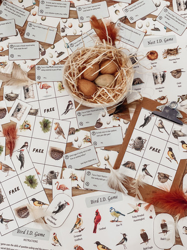 Bird Nest Game Pack FREEBIE | FTL of Homeschooling