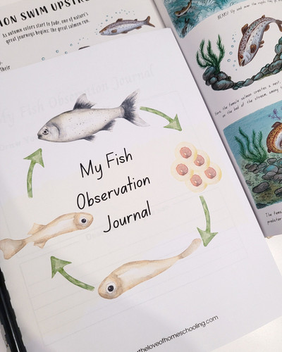 Fish Observation Journal | FTL of Homeschooling