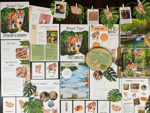 Bengal Tiger Nature Study | FTL of Homeschooling