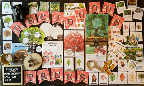 Deciduous Trees & Leaves Nature Study | FTL of Homeschooling